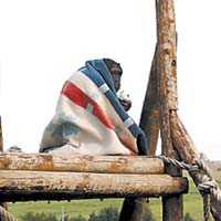 La perra vida de un simio | AnimaNaturalis